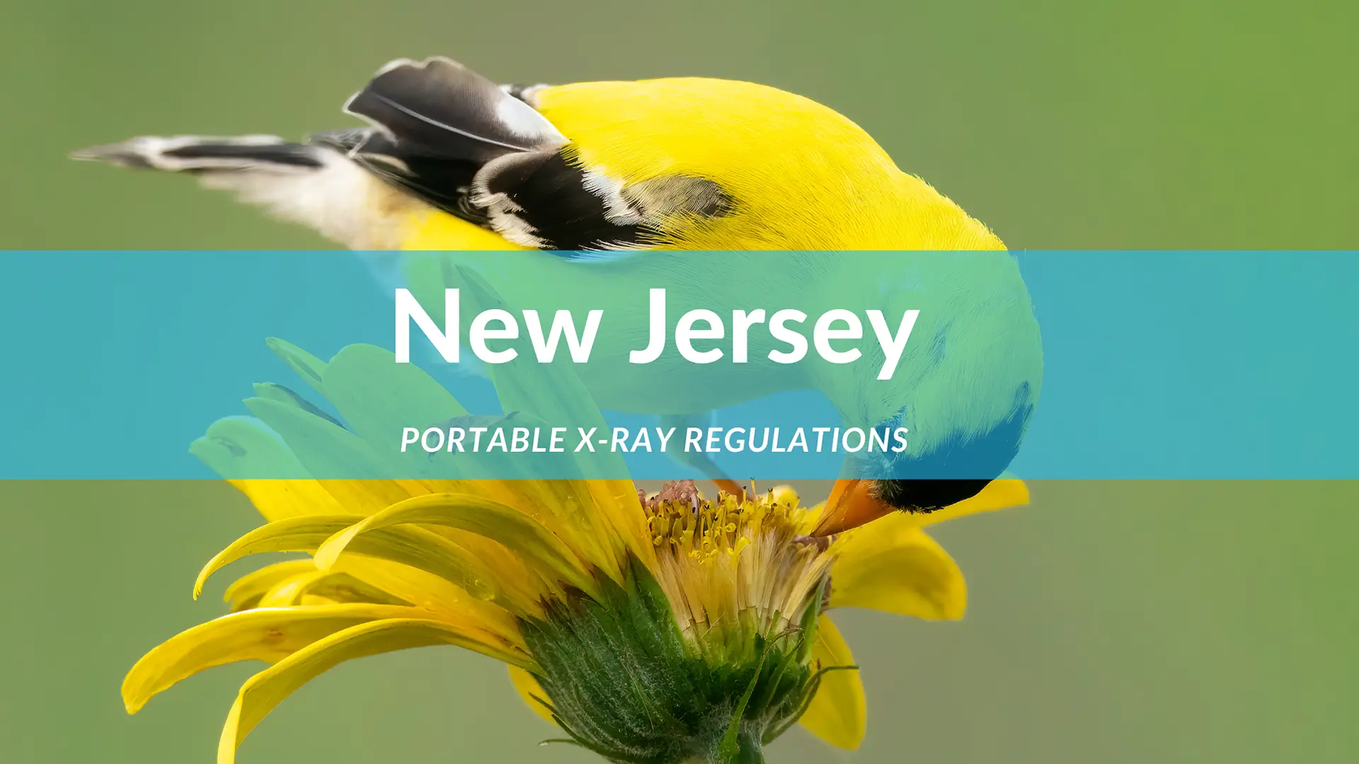 New Jersey Portable X-ray Regulations